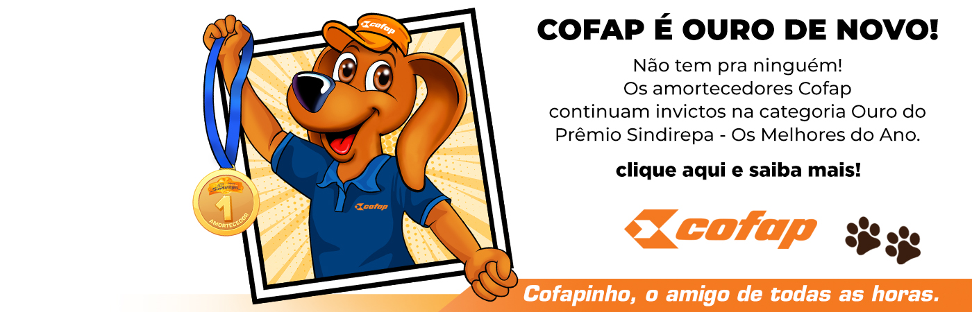 Amortecedores Cofap e Injeção Eletrônica Magneti Marelli